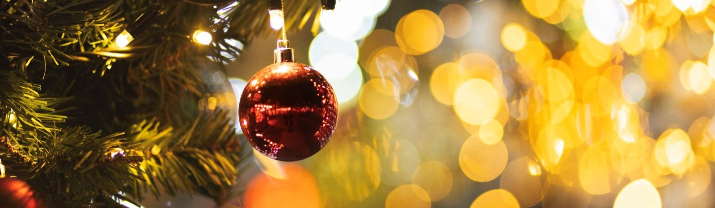 The Elf | SouthGate Bath Christmas Event