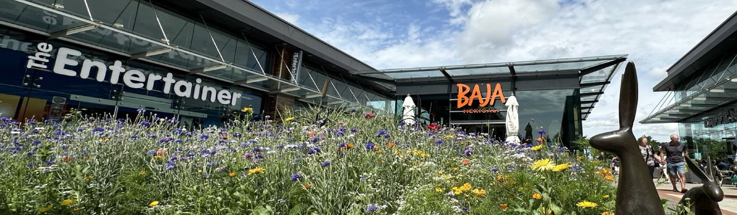 Whiteley Shopping in Fareham | Shops, Restaurants, Cinema & Leisure